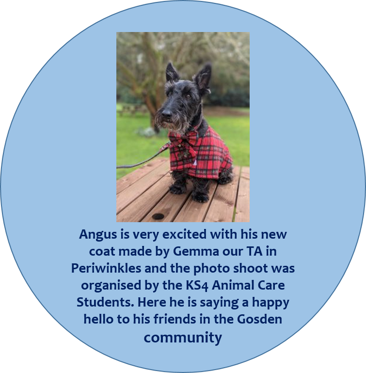 Gosden House - Outstanding school for young people with learning and ...